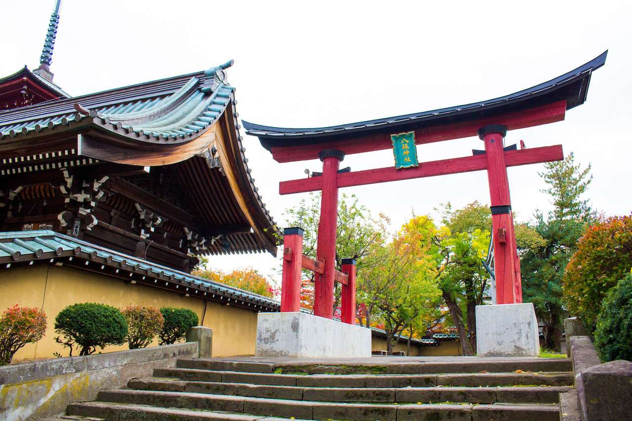 Japan - OMF Suisse - OMF Switzerland