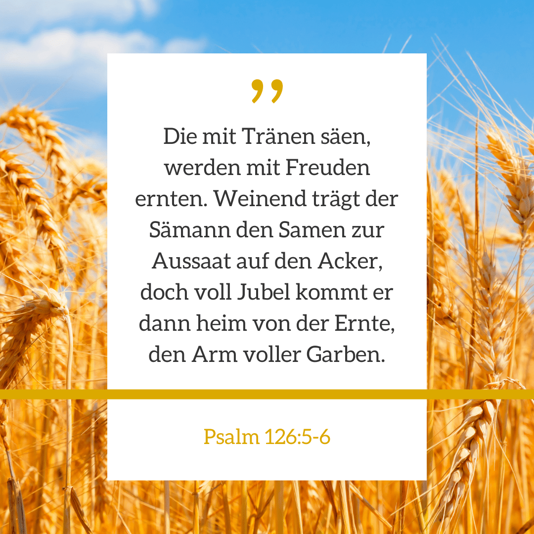 Warum Mission? Drei gute Gründe. - OMF Deutschland | Mission in Ostasien