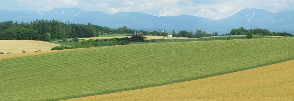 Myanmar Infographic - OMF Malaysia