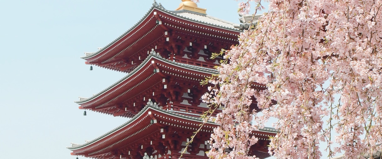 Japan Prayer Fuel March 2022 - OMF New Zealand