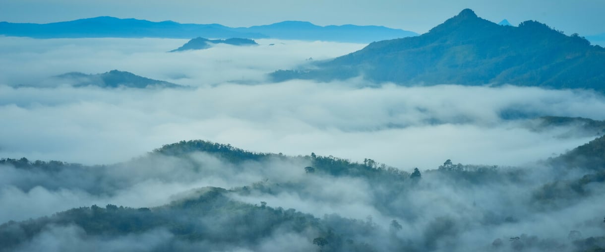 Tai Dam People Infographic - OMF Philippines