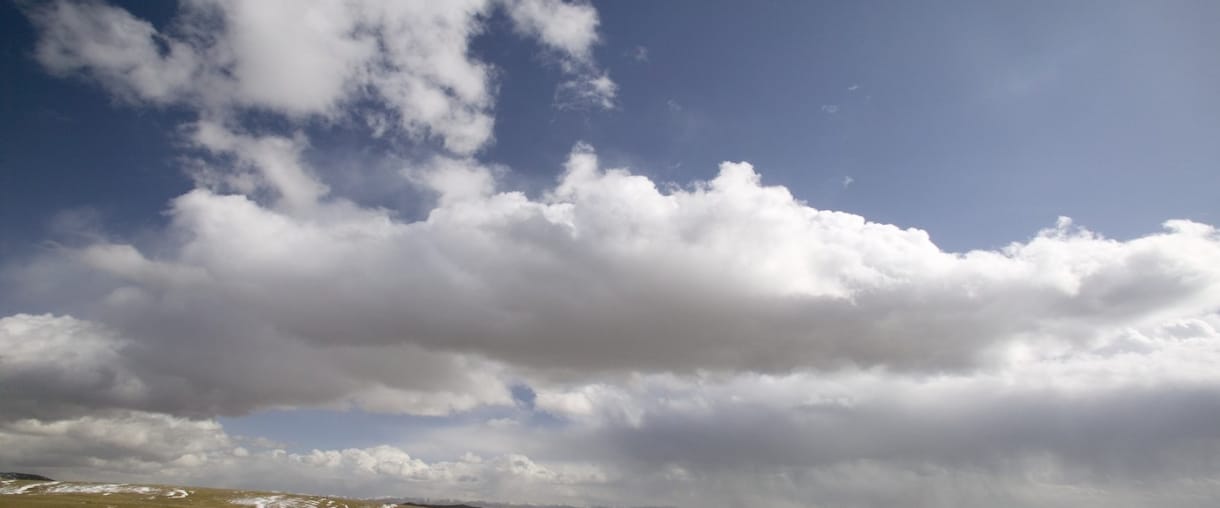 Tai Yuan People Infographic - OMF Philippines