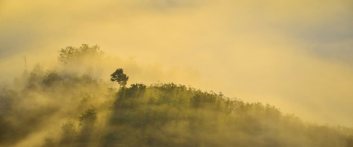 Shan Tai People Infographic - OMF Thailand | Mission among East Asia's ...