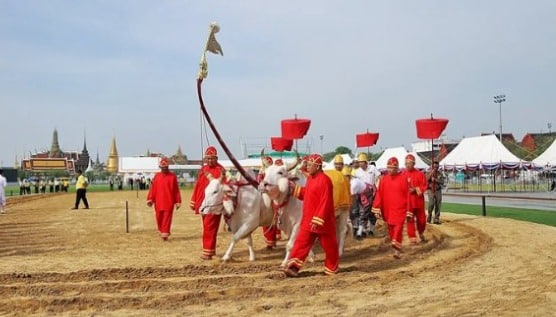 Ploughing, sowing and reaping… - OMF Thailand | Mission among East Asia ...