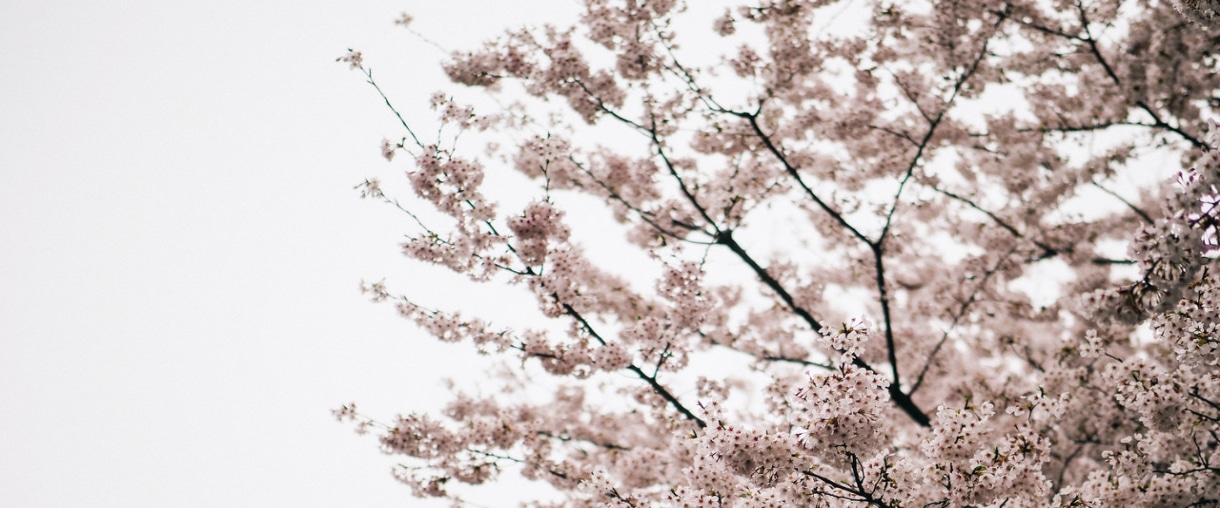 Human trafficking in Japan: the good and the bad - OMF United Kingdom