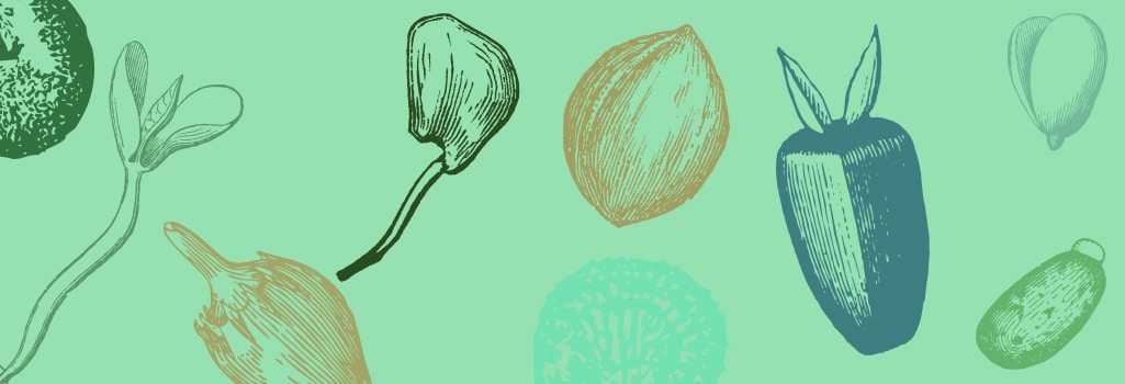 When ministry feels fruitless: persevering in gospel work in Japan ...