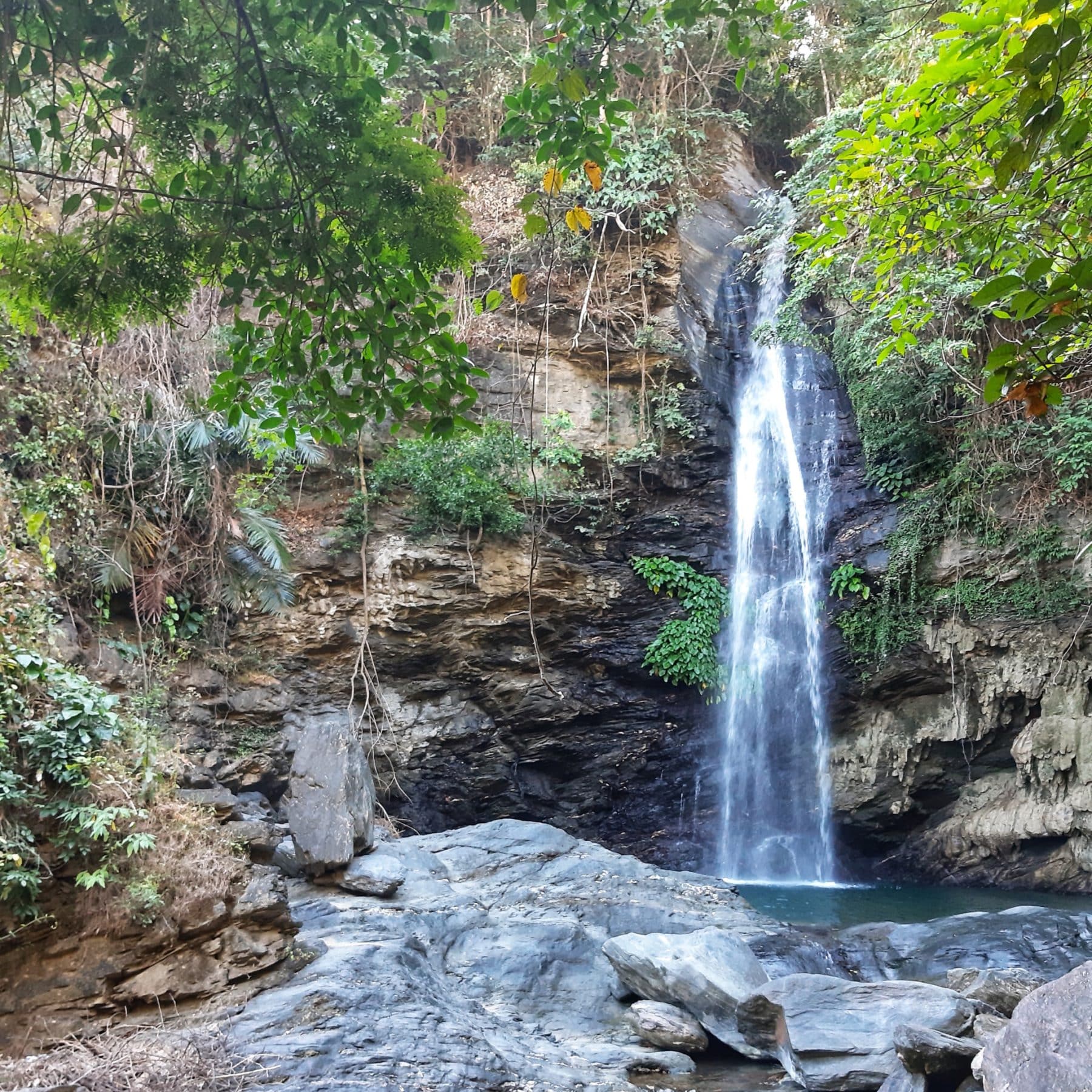 5 Ways to Participate in Creation Care Where You're Planted - OMF (U.S ...