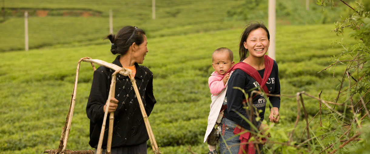 May 2025 Prayer Powerlines