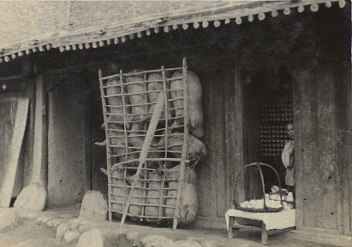 Surrounded by So Great a Cloud of Witnesses - OMF Southern Africa